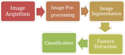 Figure 1 From An Image Processing Application For Diagnosing Acute Lymphoblastic Leukemia All