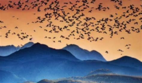 Emergent Property Bastasa Blogs