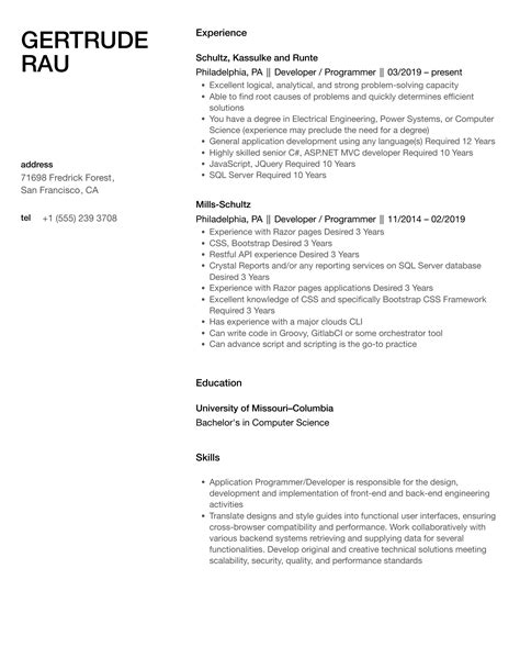 Developer Programmer Resume Samples Velvet Jobs