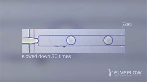 Droplet Generation Microfluidics Youtube