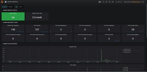 Total Nginx Monitoring With Application Performance And A Bit More