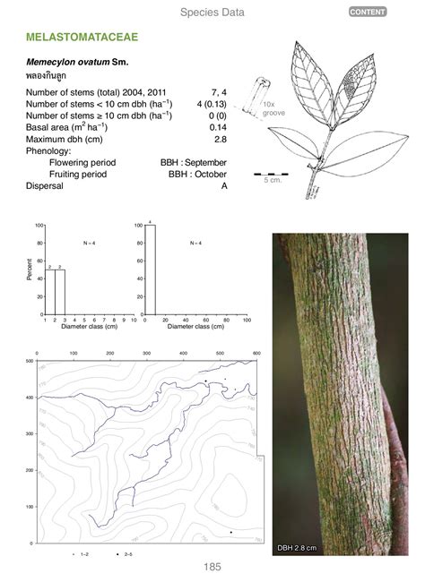 20190722 Mo Singto Forest Dynamics Plot Morakot Panpichit Page 196