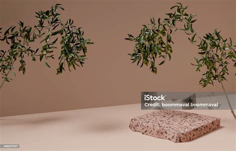 하얀 화강암 바위 연단 또는 돌 무대와 나뭇잎 프리젠테이션 화장품을 위한 나뭇가지 모형 스탠드 제품 장면 배경입니다 3d 연단 무대 그림 0명에 대한 스톡 사진 및 기타