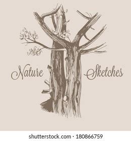 Sketch Tree Trunk Stock Vector Royalty Free 180866759 Shutterstock