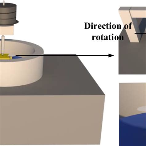 Cross Sectional Macroscopic Morphology Of C1 Download Scientific Diagram