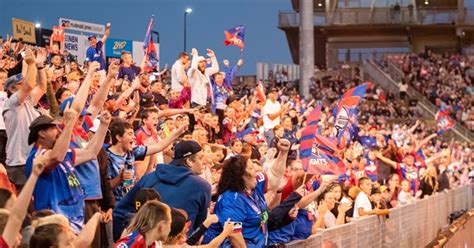 Five Newcastle Knights Memberships You Dont Want To Miss Knights