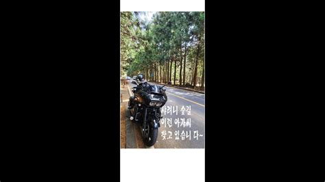 할리데이비슨 제주도 투어 대박~ Youtube