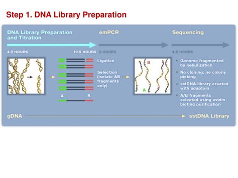 PPT Applications Of NEXT GENERATION SEQUENCING Technologies On Biomedical Research PowerPoint