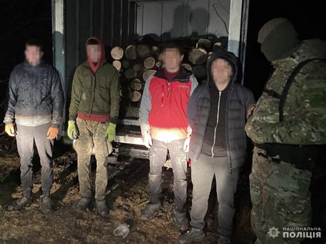 На Кіровоградщині судитимуть “чорних лісорубів” які напиляли дерев на понад мільйон гривень