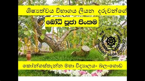 5 ශිෂ්‍යත්වයට ආශිර්වාද බෝධි පූජා කෝන්ගස්තැන්න මහා විද්‍යාලය බලංගොඩ