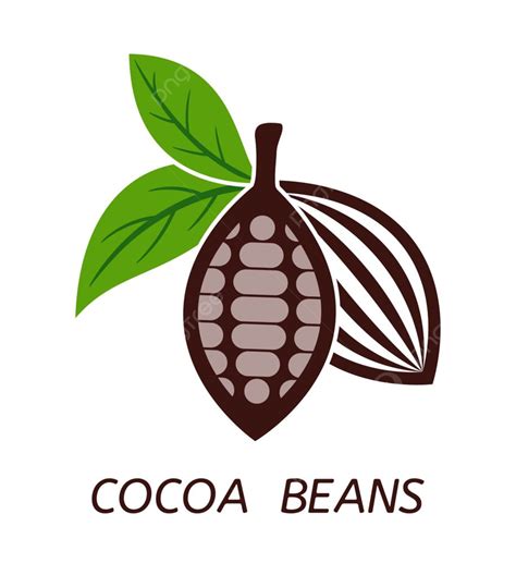 Cacao Cocoa Beans Vector Design Images Vector Icon Of Cocoa Beans With