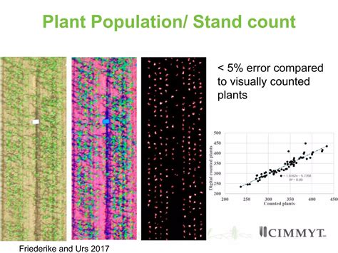 High Throughput Field Based Phenotyping In Maize Ppt