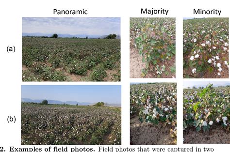 Figure 2 From Fuzzy Clustering For The Within Season Estimation Of Cotton Phenology Semantic