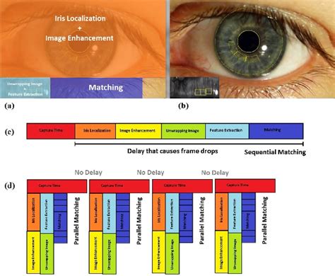 A Processing Areas Of The Image B Real Image C Timing Of Download Scientific Diagram