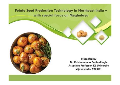 Seed Plot Technique In Potato Pptx Agriculture Industries