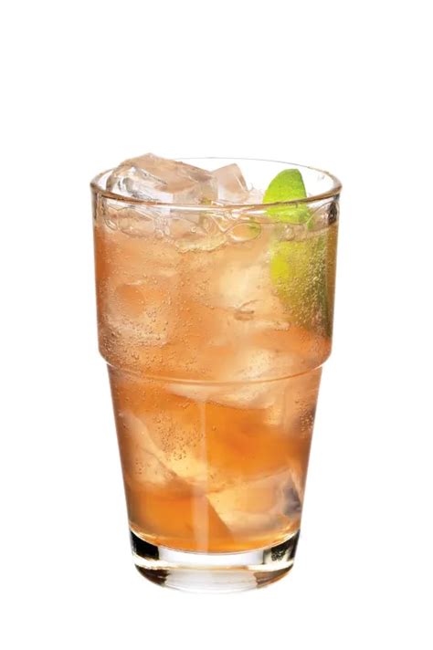 Lemon Lime And Bitters Cocktail Recipe