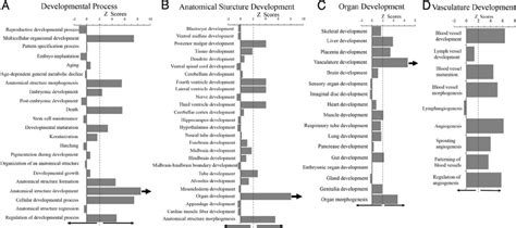 Systems Analysis Of The Effect Of Anxa1 Gene Ko On Biological Processes Download Scientific