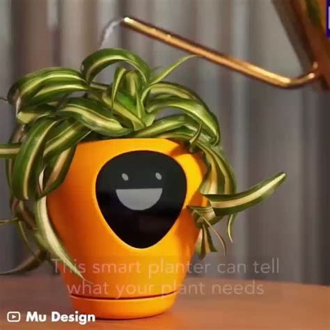 isuru lakpriya on linkedin smartgadjet ai smartagriculture