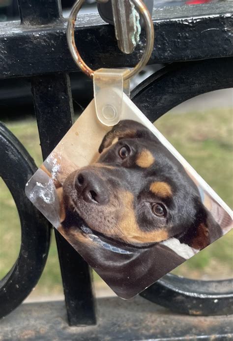 Missing Keys R Chicago