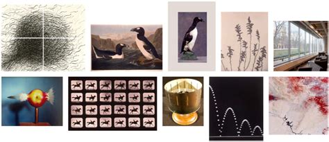 visualizing science collection guide addison gallery