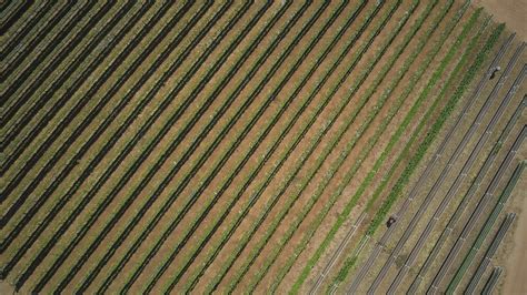 Agriculture And Crop Monitoring With Drones Drone Vet