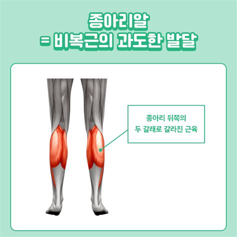 종아리 근육의 뭉침을 잘 풀기 위해서는 For You