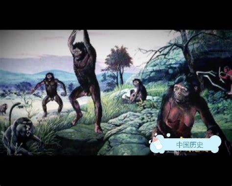 中国境内的远古人类 元谋人 哔哩哔哩