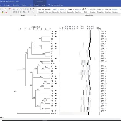 Igs2 314 Rdna Band Based Genetic Relationship Between Saccharomyces Download Scientific Diagram
