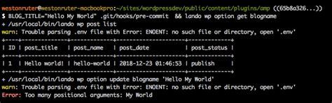 Cannot Trigger Lando Commands In A Git Hook · Issue 904 · Landolando