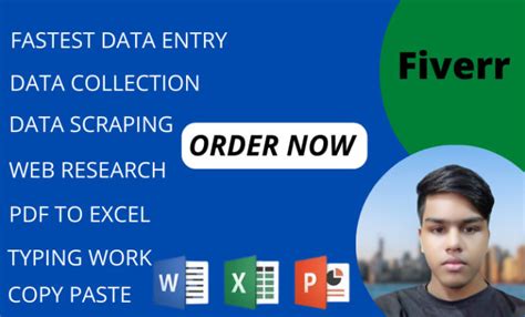 Do Data Entry Web Research Pdf To Excel Copy Paste By Data Fiverr