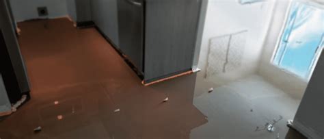 Leveling Basics Archives Next Level