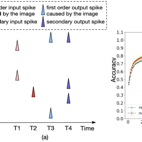 A An Example Of The Input And Output Spike Pattern In A Random Download Scientific Diagram