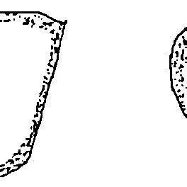 Dorsal View Of Python Natalensis Showing Dimorphic Heads Drawings Of Download Scientific