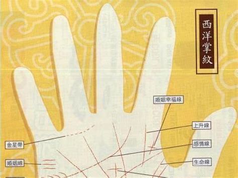 教你看掌之掌纹入门篇生命线掌纹下意识新浪新闻