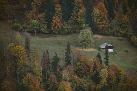 Essay Plan ‘the Meaning Of Causation Is Heavily Context Specific And