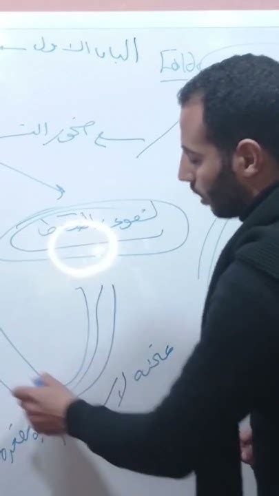 جيولوجيا3ث2023 الطيات انواعالطيات الطيةالمحدبةالطيةالمقعرة