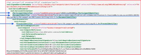 How Peppol Ids Work Ecosio