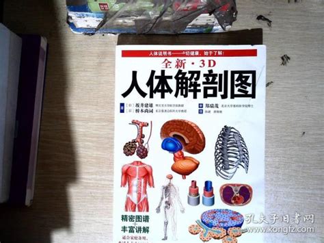全新3d人体解剖图 坂井建雄、桥本尚词 著；孙越、唐晓艳 译 孔夫子旧书网