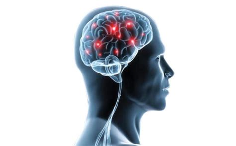 Клиники Отделения УМБАЛ Проф Д р Стоян Киркович АД