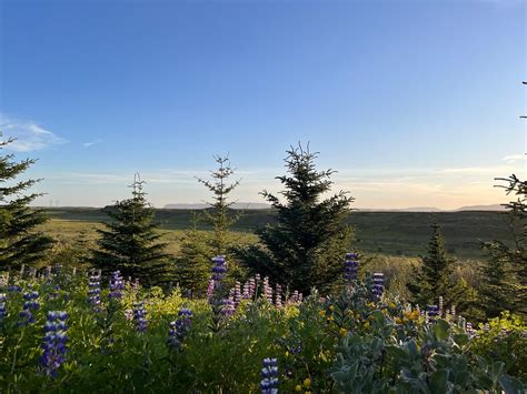 A Quiet Retreat With Beautiful Views But Some Questionable Plumbing Review Of Solheimar Eco