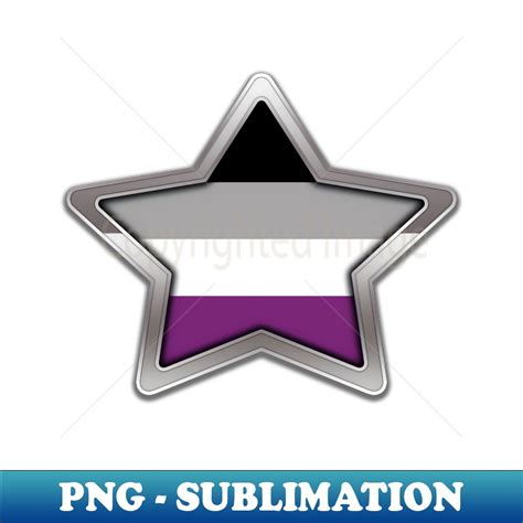 Large Asexual Pride Flag Colored Star With Chrome Frame Si Inspire