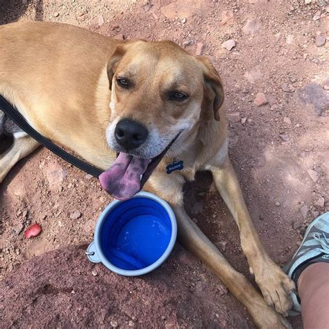 James Parillo Has Been Spotted On The Pacific Crest Trail In Southern California R Ultralight