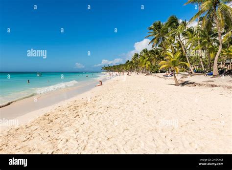 Saona Island Dominican Republic January 2 2023 View The Tourists