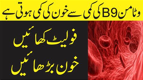 Vitamin B9 Benefits Rich Food And Deficiency Symptoms In Urdu Hindi
