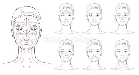 Face Massage Lines Facial Massage Instructions Vector Illustration
