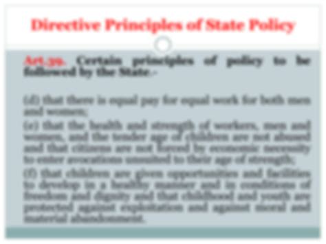 Solution Directive Principles Studypool