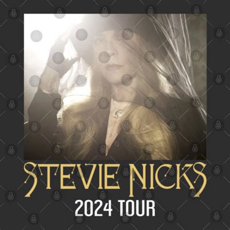 Stevie Nicks Live In Concert Double Sided Tank Tops Vintage Stevie Nicks Tour Shir