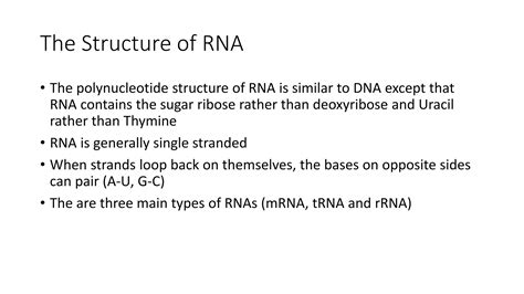 2 Nucleic Acid Structure And Organizationpptx