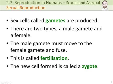 Igcse Biology Sexual And Asexual Reproduction Pptx
