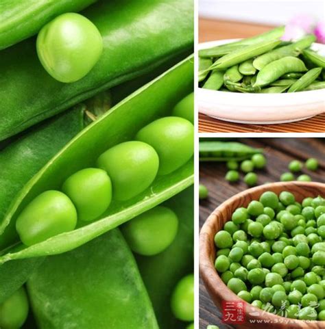 豌豆皮喂牛的营养价值 豆皮喂牛营养价值 土豆的营养价值 第11页 大山谷图库